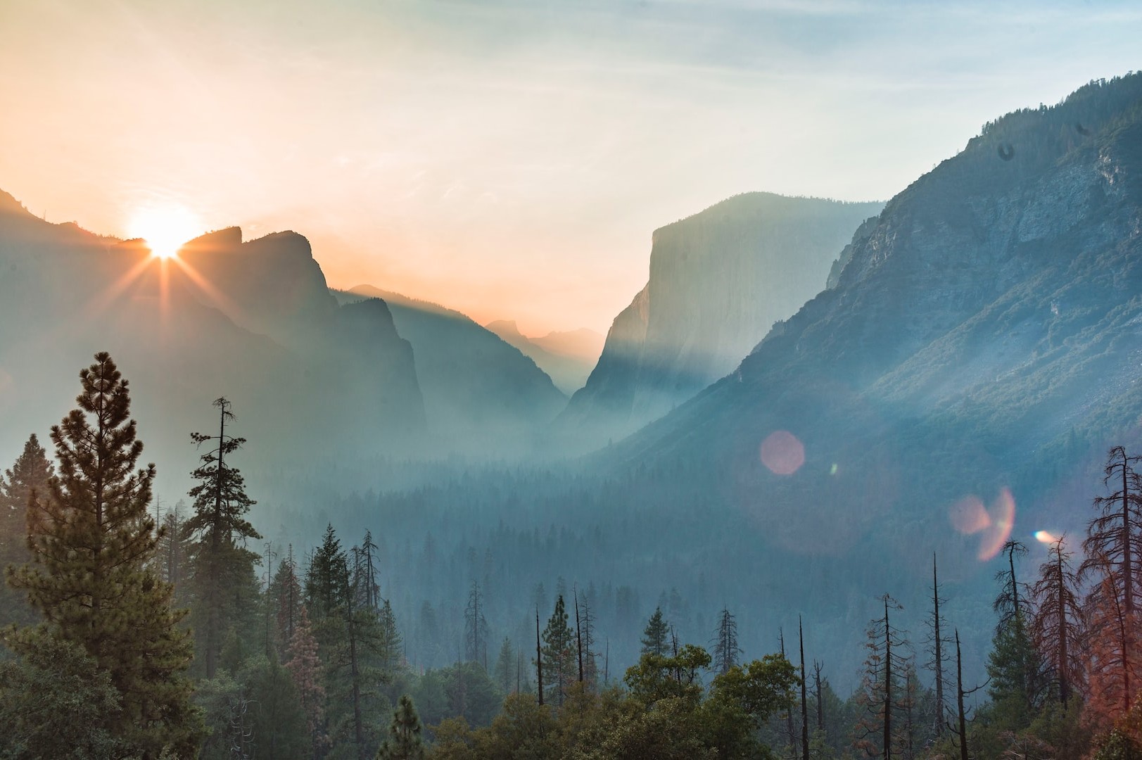 Bear Code Consulting | Elevating Teams To The Next Level » About us